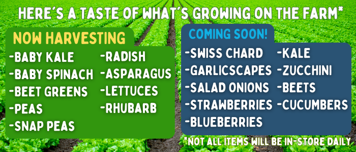 Wilson Farm : Growing Since 1884