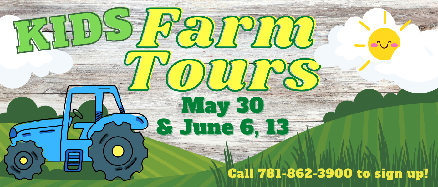 Wilson Farm : Growing Since 1884